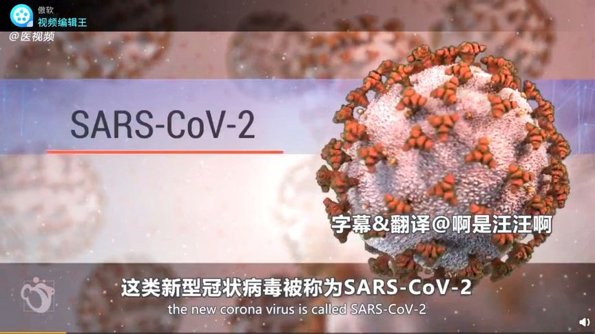 什么是新冠病毒,感染之后人体发病的过程