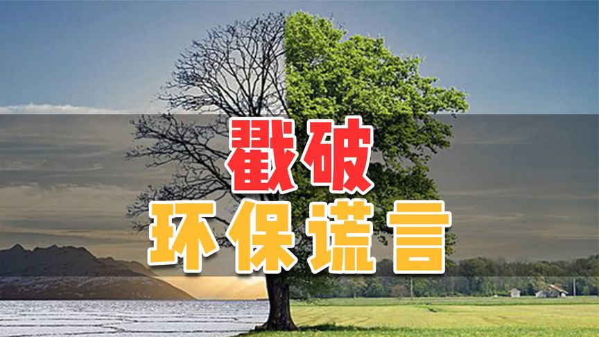 戳破环保谎言,不用一次性筷子,就是在保护森林?