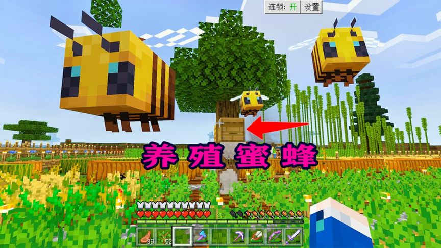 我的世界156：新手如何养殖蜜蜂？掌握这几点让你成为养蜂达人！