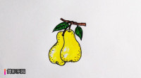 画梨简笔画 幼儿早教绘画 教宝宝轻松画梨