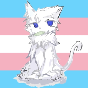 LeafCat_Official 