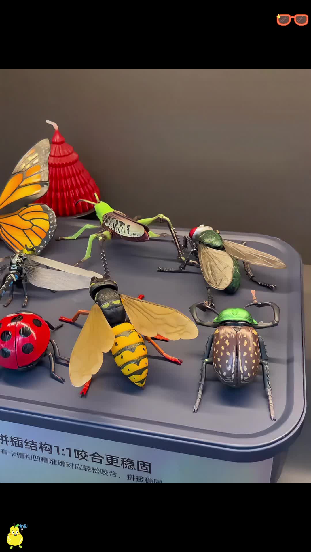 ...模型吧!每一个都很逼真,让孩子了解动物身体激发孩子探索欲#拼装...