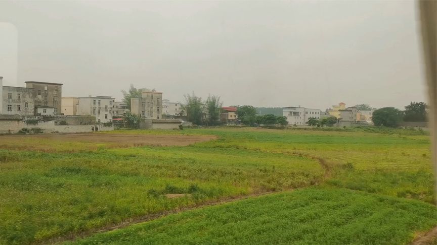 坐上(T290次)列车,饱览贵港、玉林、梧州、贺州沿途田园风光!