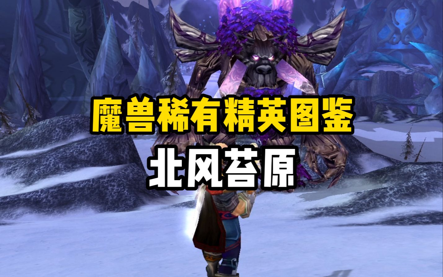 魔兽稀有精英图鉴诺森德篇,北风苔原,开飞机的稀有机械侏儒_哔哩哔哩...