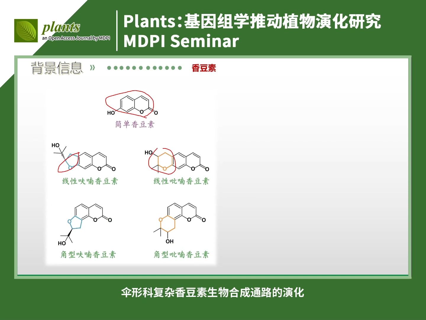 20241116-南京农业大学薛佳宇-伞形科复杂香豆素生物合成通路的演化