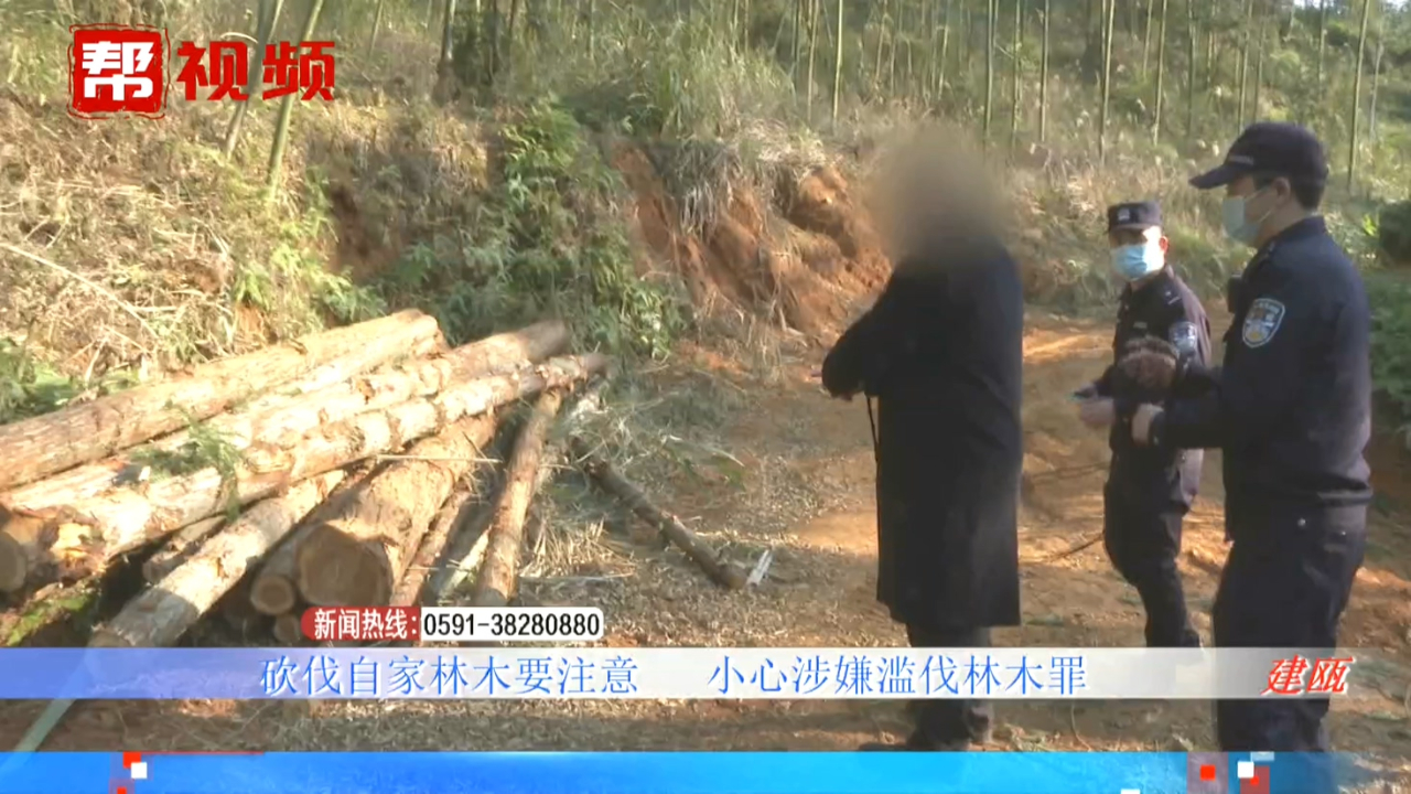 男子无证砍伐林木,蓄积量超30立方米,民警: 砍自家的也违法