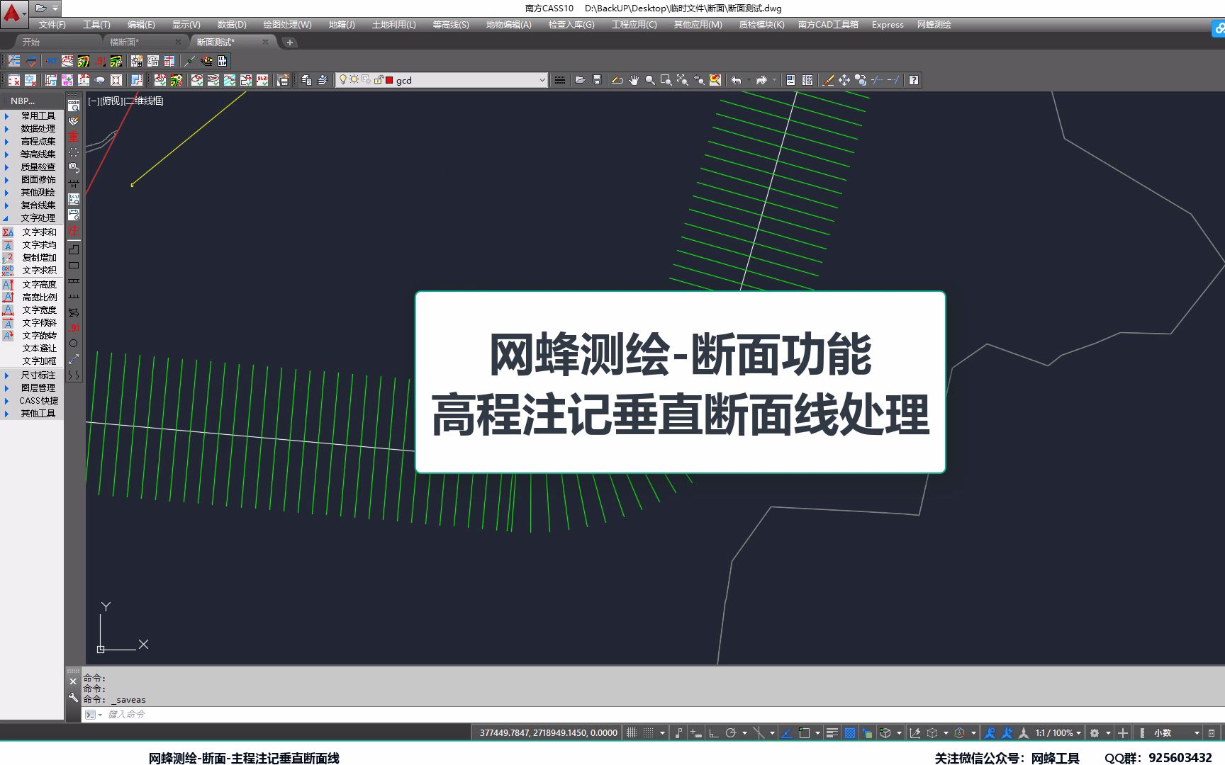 高程注记垂直断面线-断面-网蜂测绘