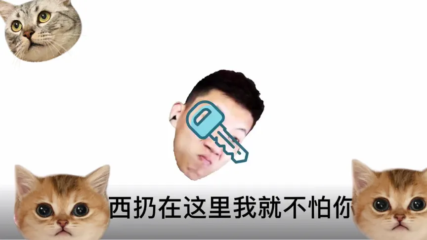 梦C吐了梦卡,梦CC吐了梦C卡,大地瓜那么烤地瓜,一块钱能买三!