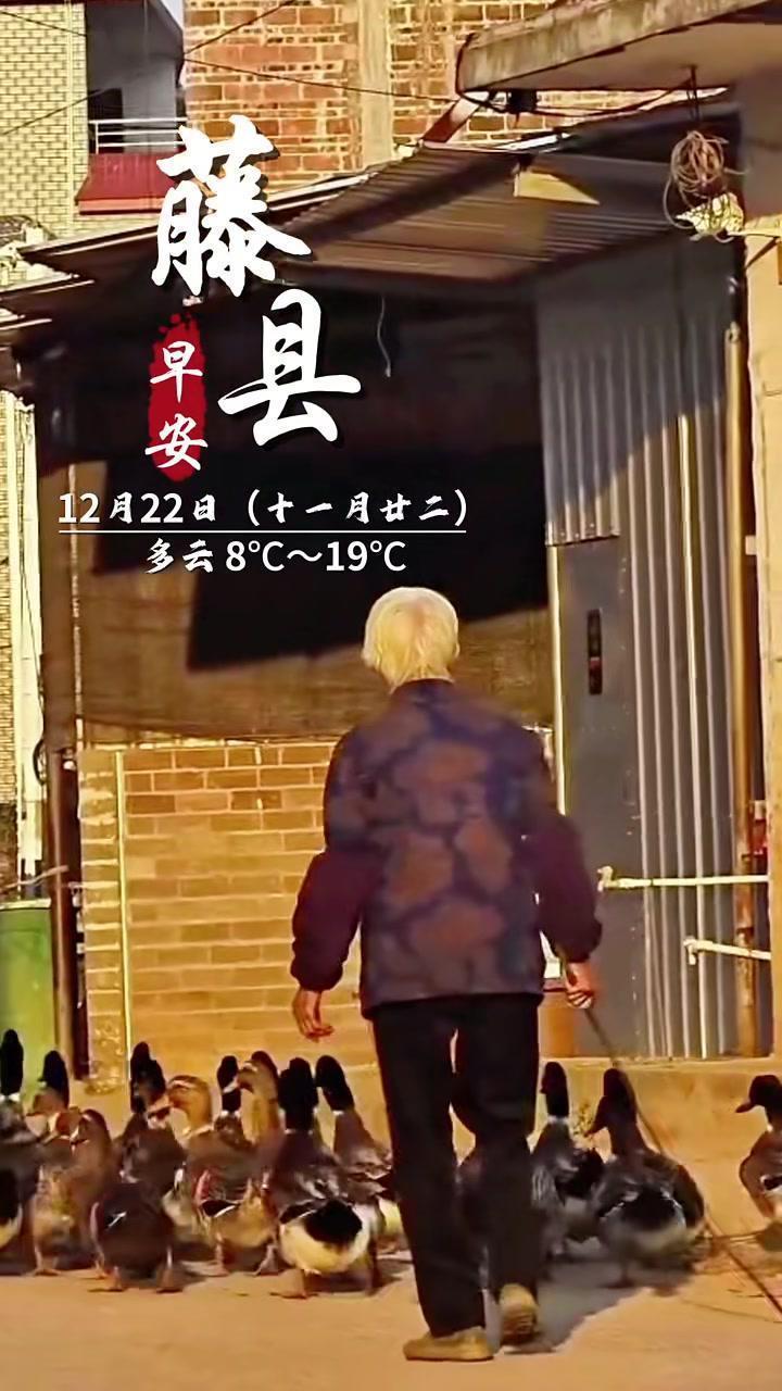 #早安藤县作者:埌南镇人民政府陈业漾