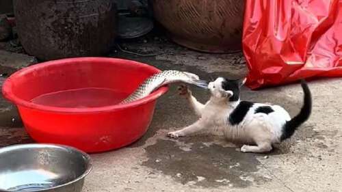 翻滚瞬间惊心动魄!超美标汽车安全测试大揭秘