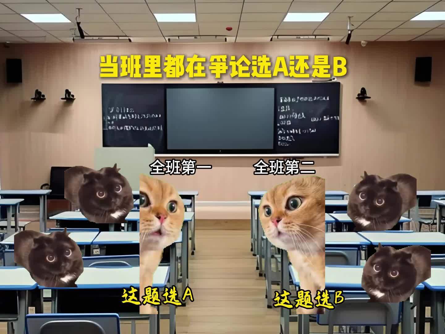 当班里都在争论选A还是B