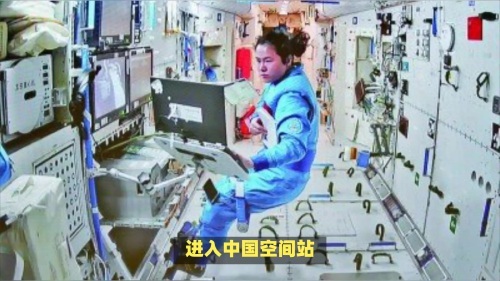 从斑马鱼到小鼠:模式生物如何助力深空医学难题突破