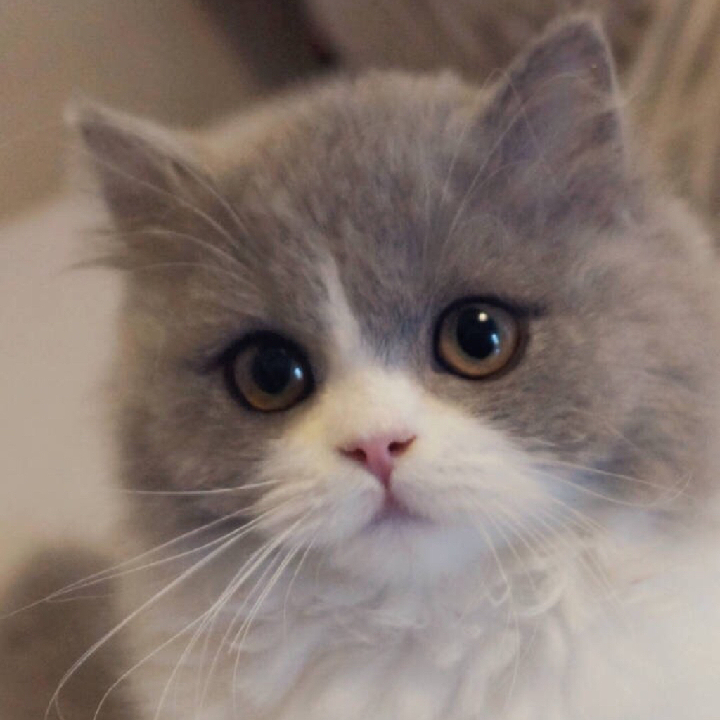 熙春暖 
