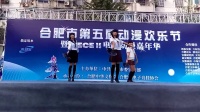 合肥信息技术职业学院去看动漫展