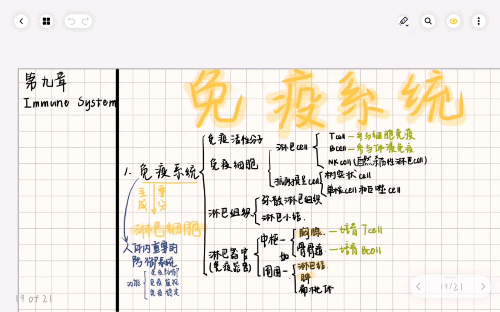 ...血胸腺屏障/胸腺小体/毛细血管后微静脉/单核巨噬细胞系统/淋巴结/脾