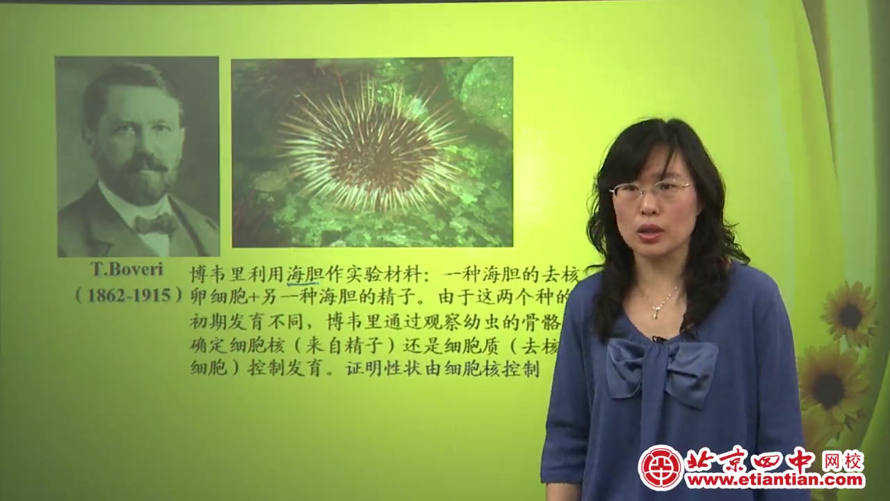 【高一生物】遗传的基本规律专题