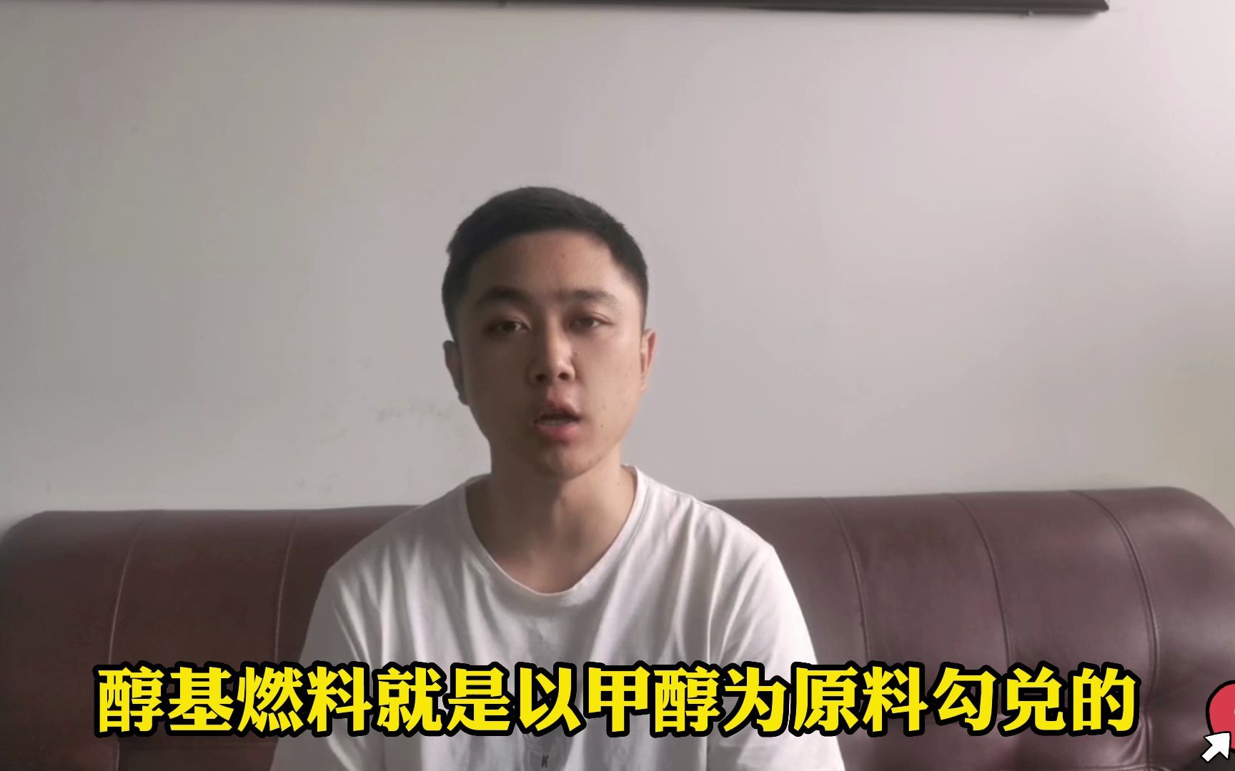 醇基燃料与生物油燃料的区别在哪?