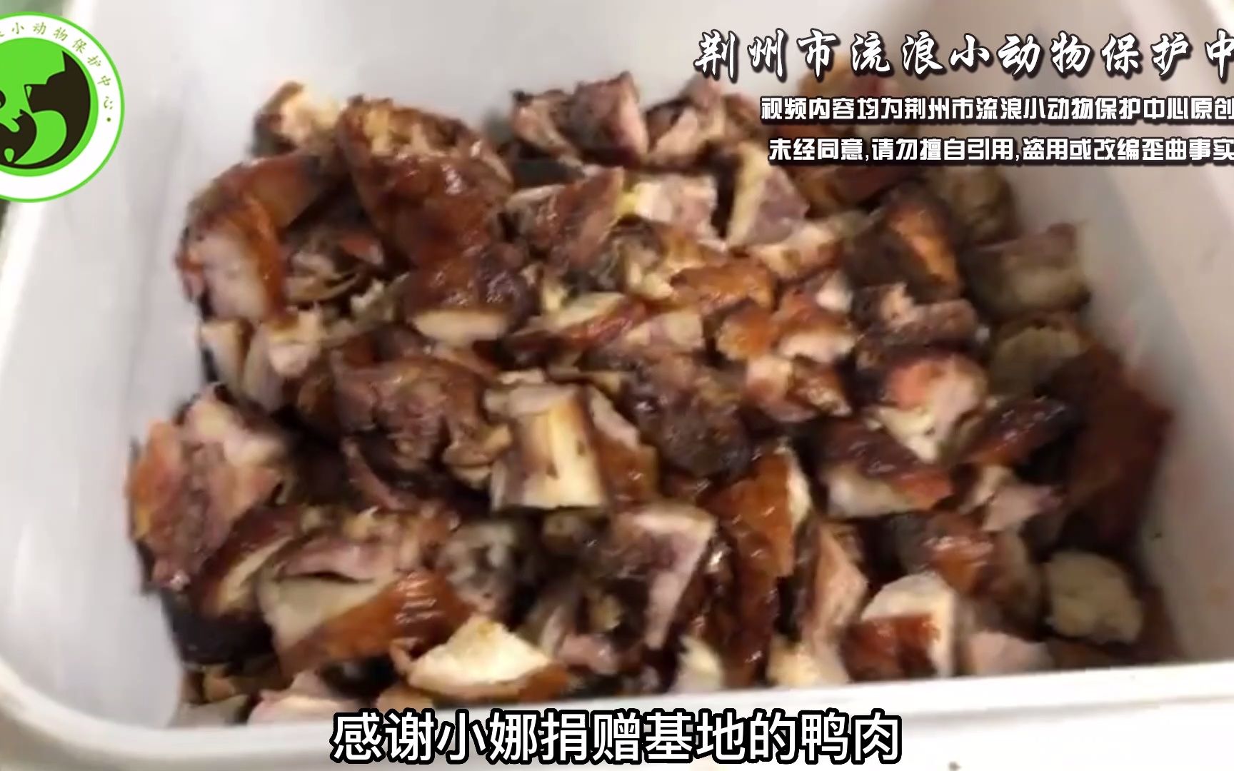 偏远殡仪馆救助车祸骨折狗/新老基地来回奔波