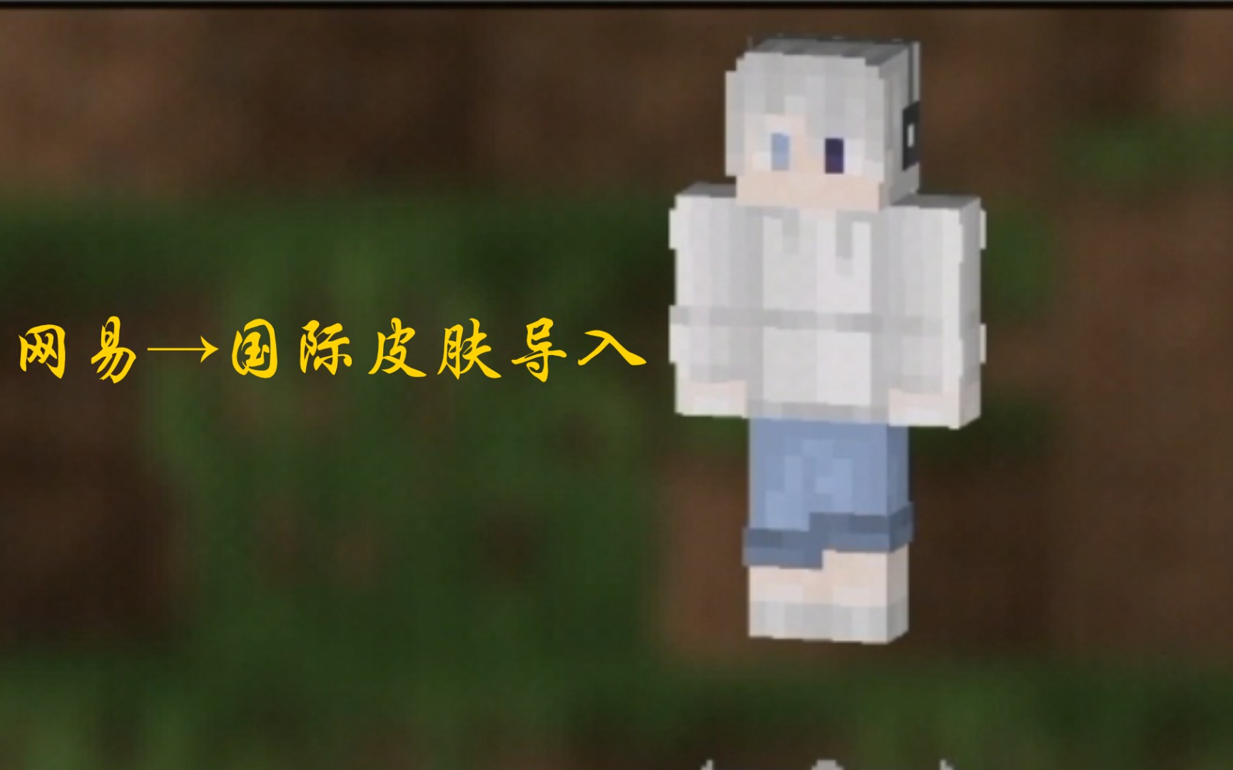 [我的世界] 网易皮肤导入国际版(PE)