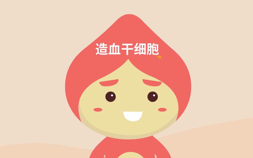造血干细胞捐献知识小动画(五集)——上海市嘉定区红十字会