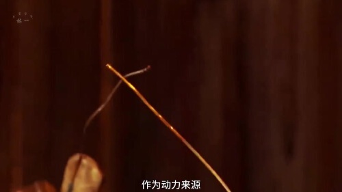 焦耳第一定律与能量守恒背后的故事