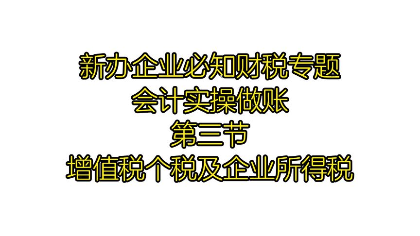 新办企业必知财税专题会计实操做账第三节增值税个税及企业所得税