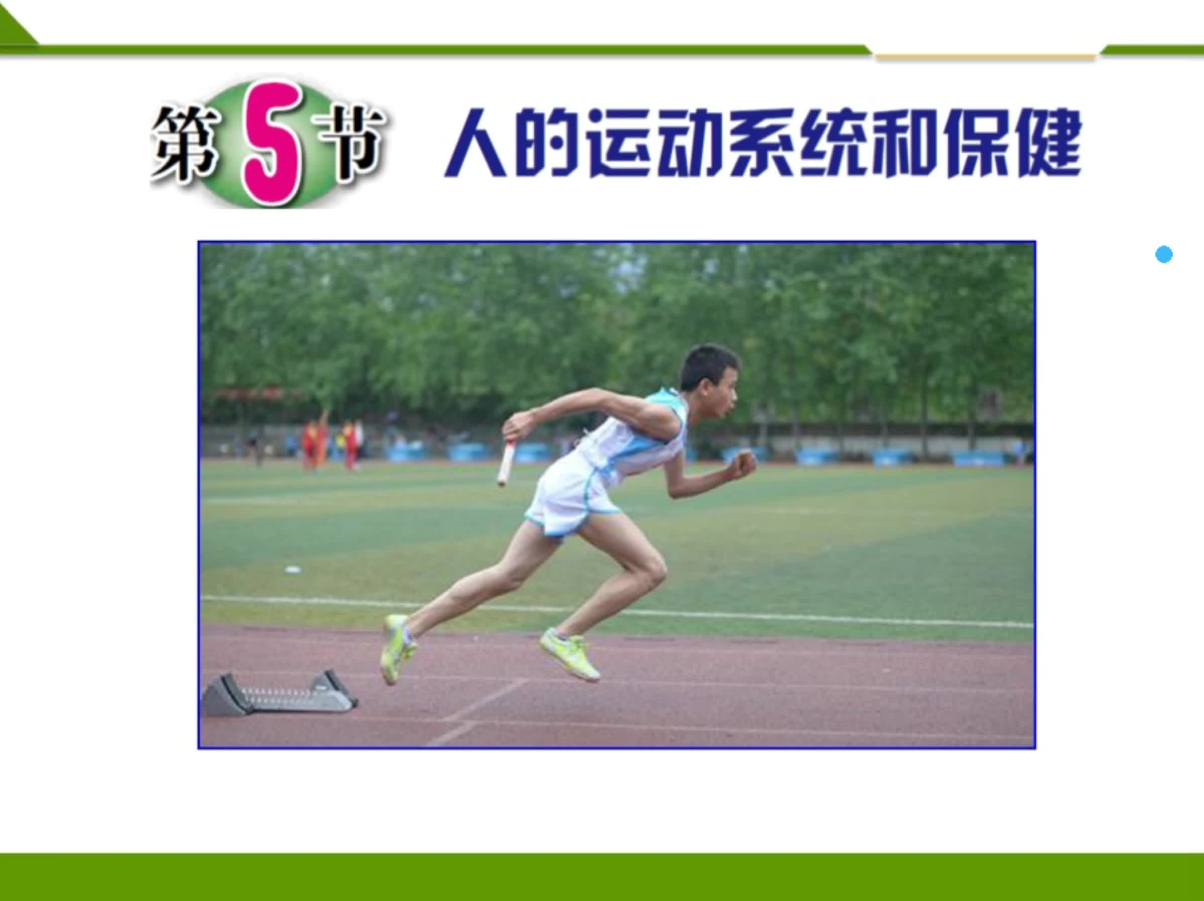 九下科学:人的运动系统和保健