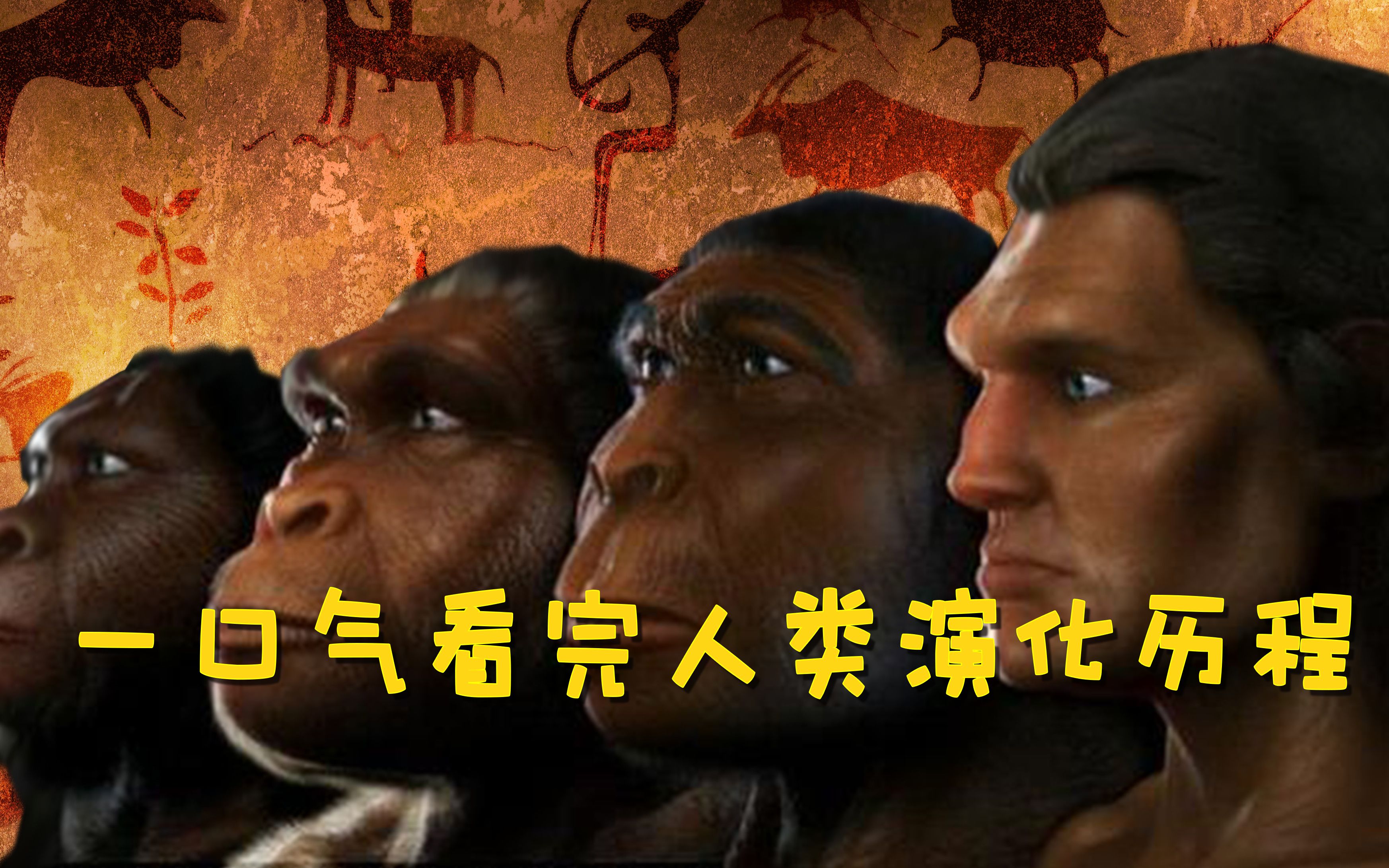 一口气看完人类从6500万年前至今的演化历程!