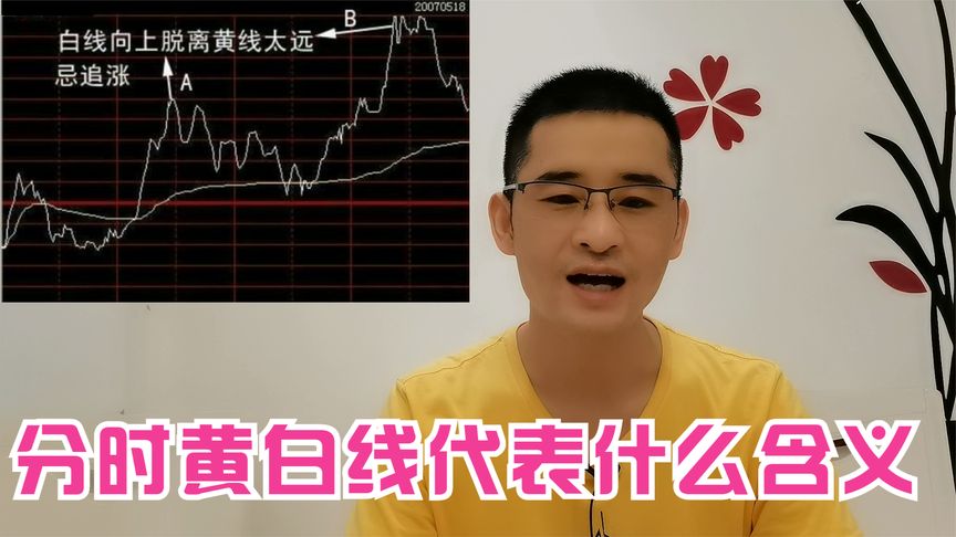 常云:炒股赚钱技术-分时图黄线和白线代表什么的含义.