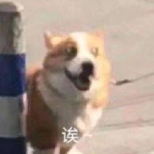 碎燧有鱼 