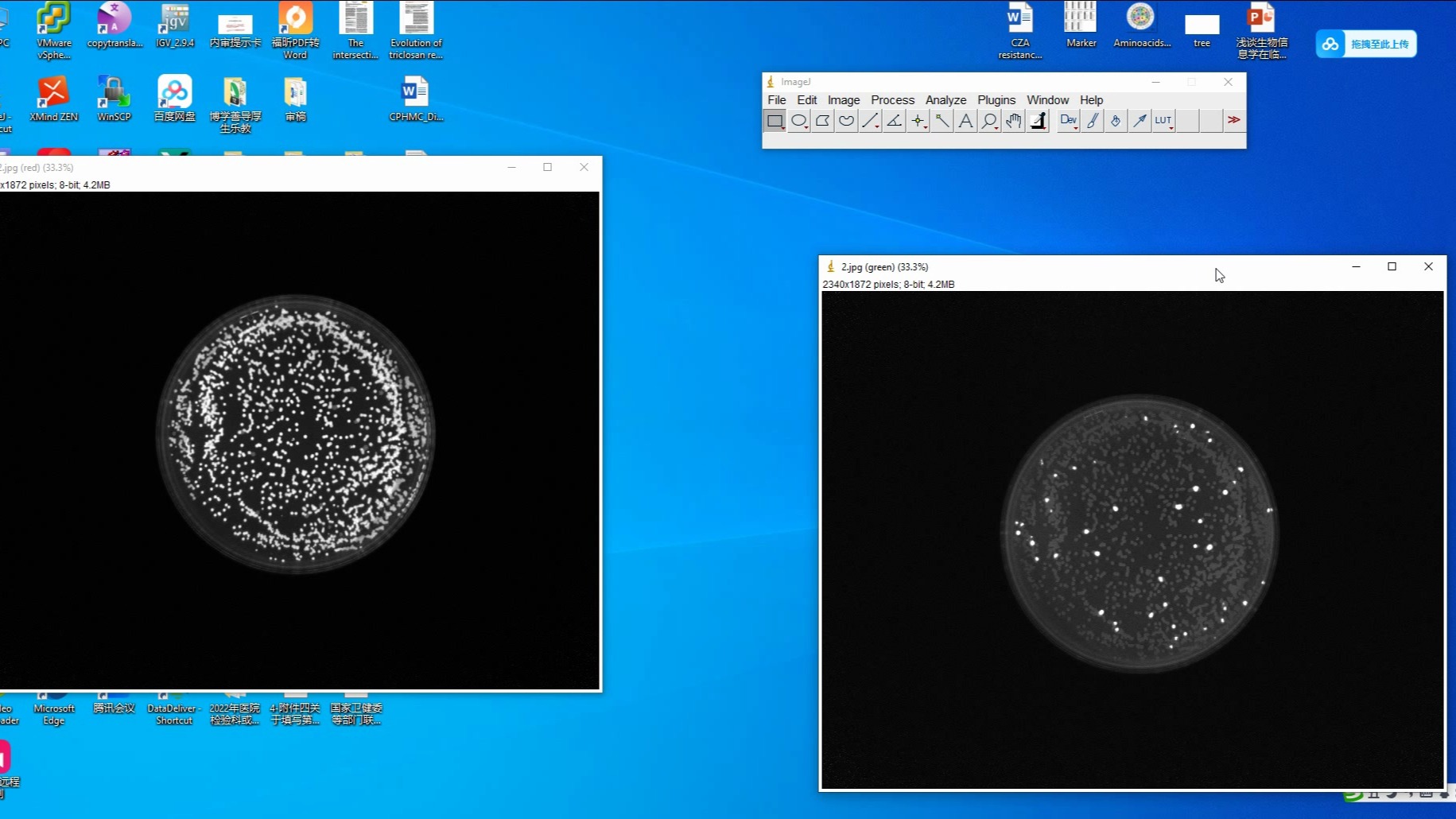 利用ImageJ软件计数细菌菌落-1