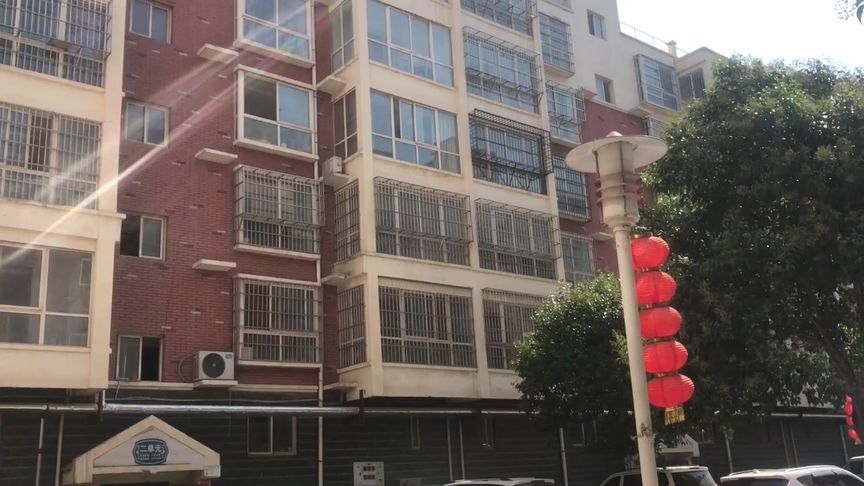 农村小伙实拍5线城市电梯房,1平方要多少钱?你觉得这个价贵么