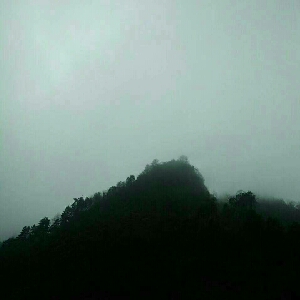 出与君 