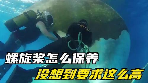 水下的巨型螺旋桨怎么保养?没想到要求这么高,镜头记录清理过程