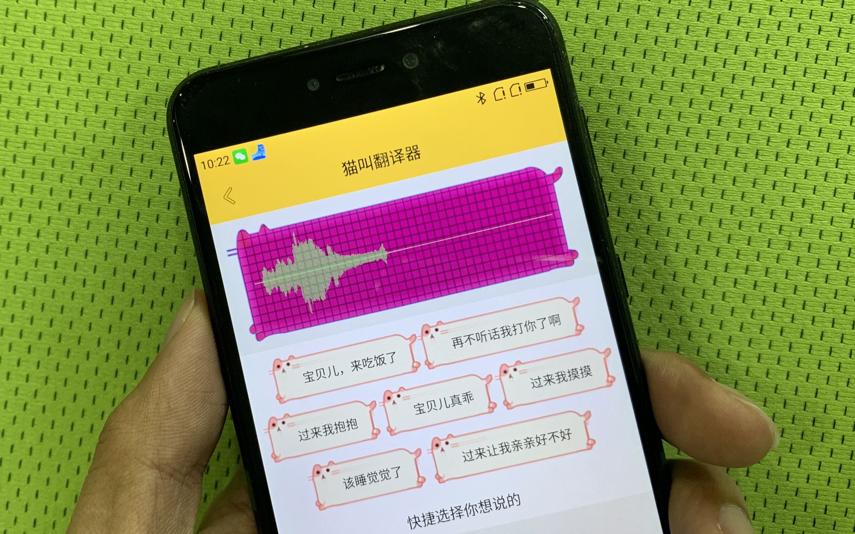 猫叫翻译器,真的能翻译猫语吗?