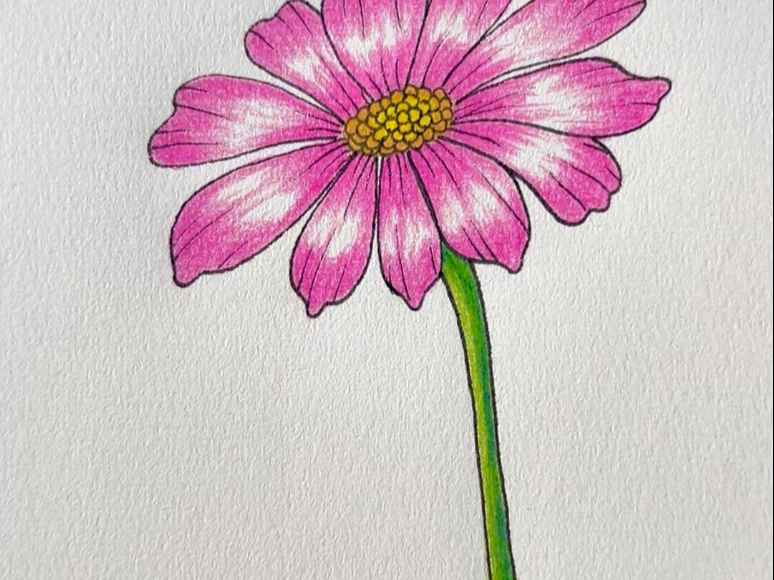 这样画花朵,一学就会!