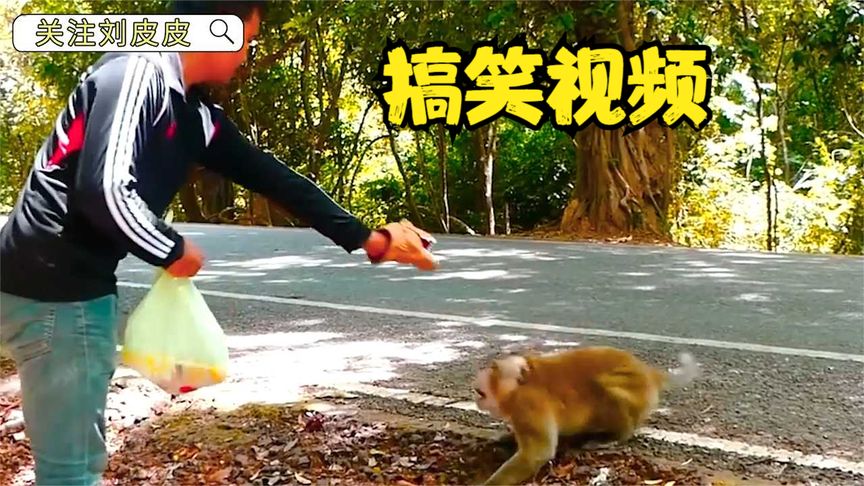 刘皮皮搞笑视频合集