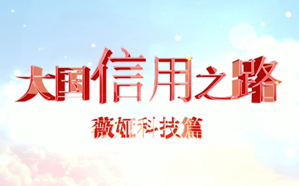 瑞安市薇娅科技信息咨询有限公司是做什么的?