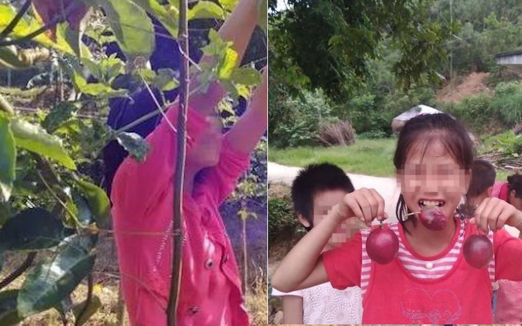 百香果女孩案再审判死刑,上诉不加刑是如何规定的?