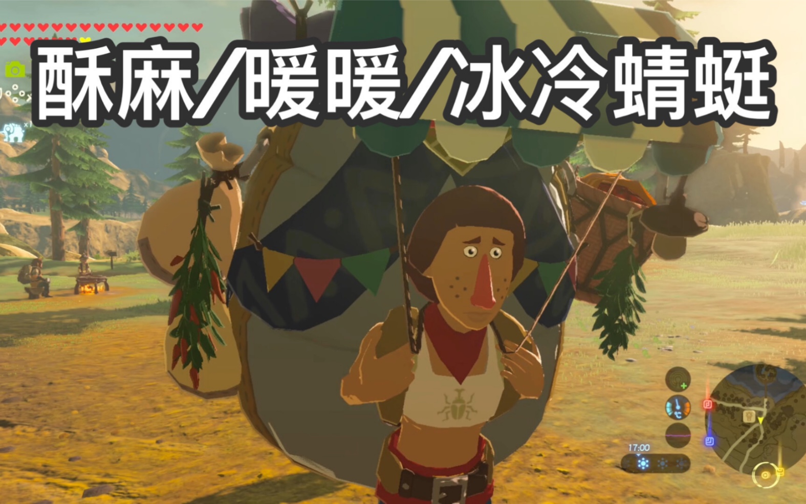 【木木】塞尔达传说:如何获取酥麻/暖暖/冰冷蜻蜓?