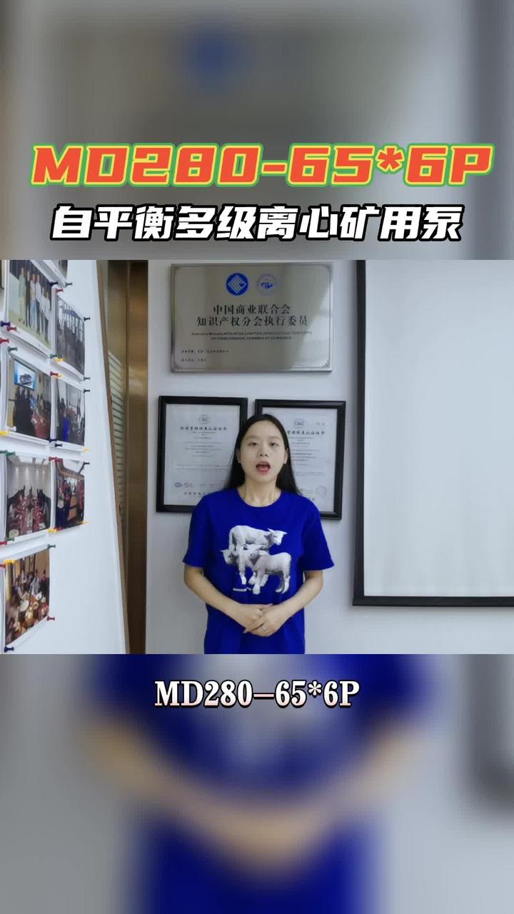 MD280-65*6P卧式多级离心矿用泵,高效节能,性能范围广,运行起来安全...