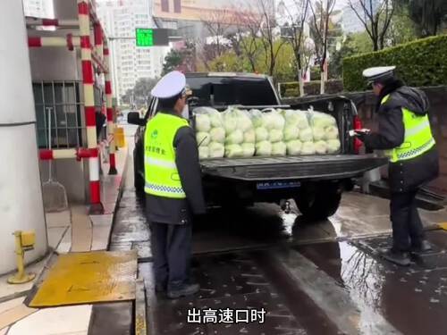 皮卡车大作用,拉绿通产品贼省高速费!