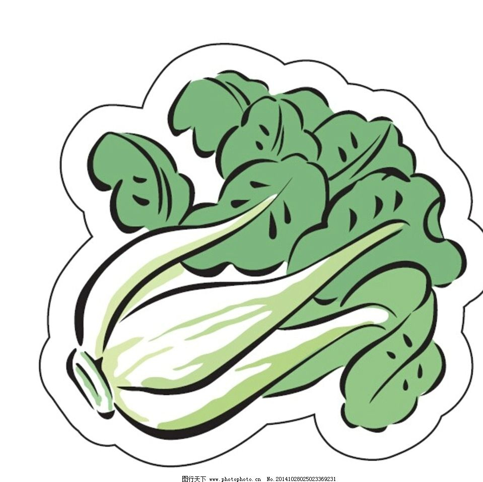 以白菜的名义 