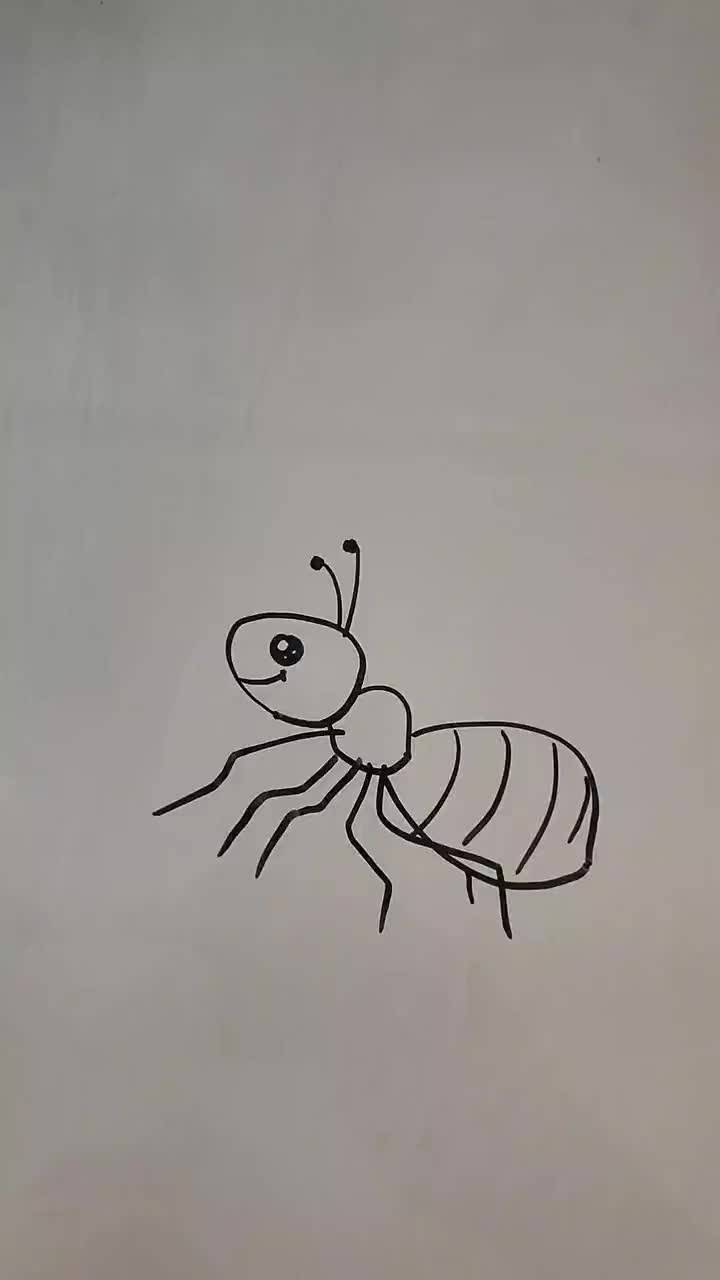 简笔画教程--一只可爱的蚂蚁