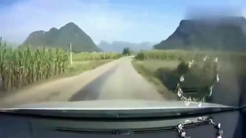 行车记录仪:广东大哥,你驾照是买的吧?