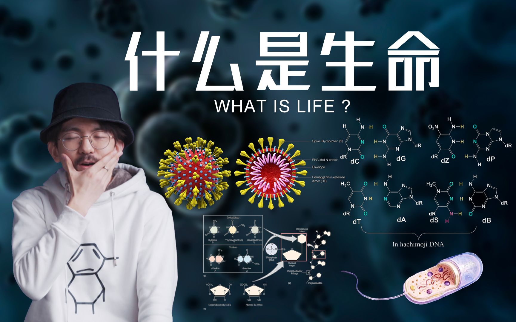 【毕导】人类和病毒谁才是进化的顶峰?带你重新理解生命