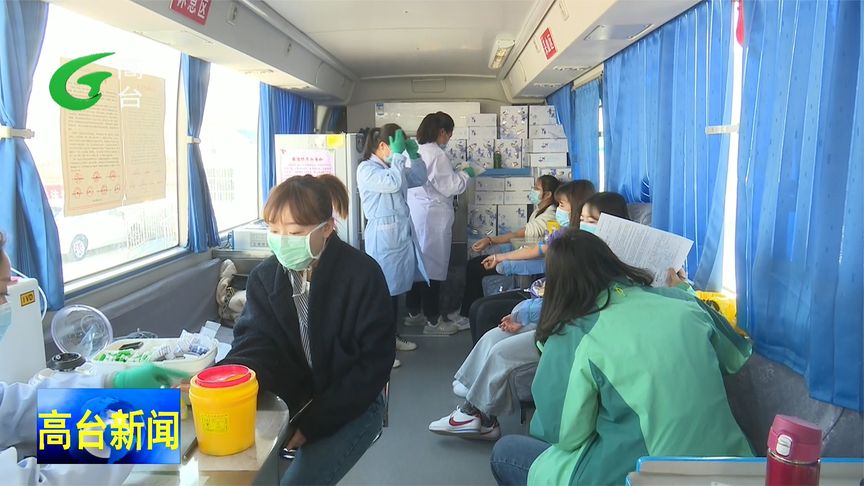 高台县干部职工积极义务献血