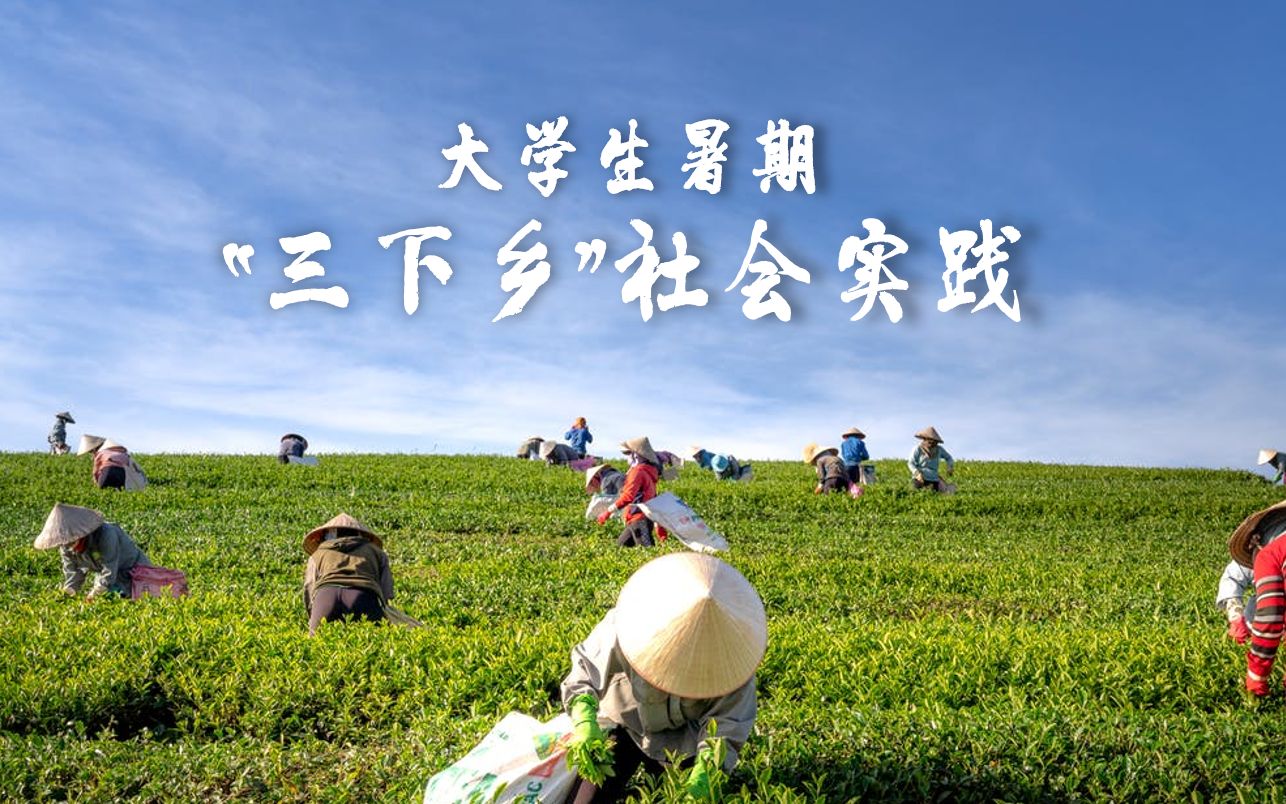 大学生暑期三下乡社会实践报告PPT模板