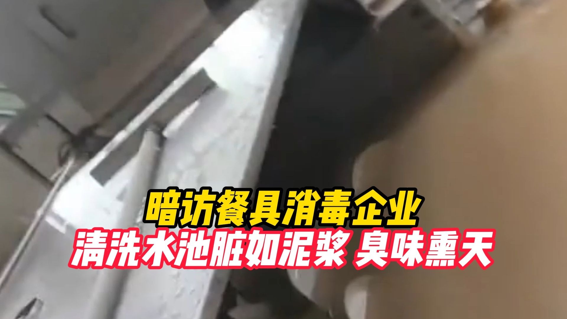 暗访餐具消毒企业清洗水池脏如泥浆、臭味熏天,每套0.7元卖给商家,...