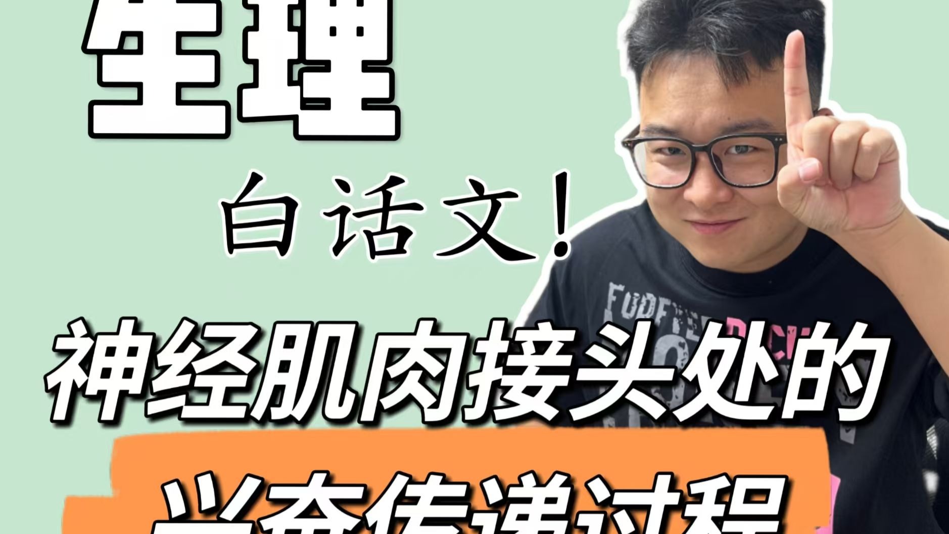 【生理白话文】神经肌肉接头处的兴奋传递过程